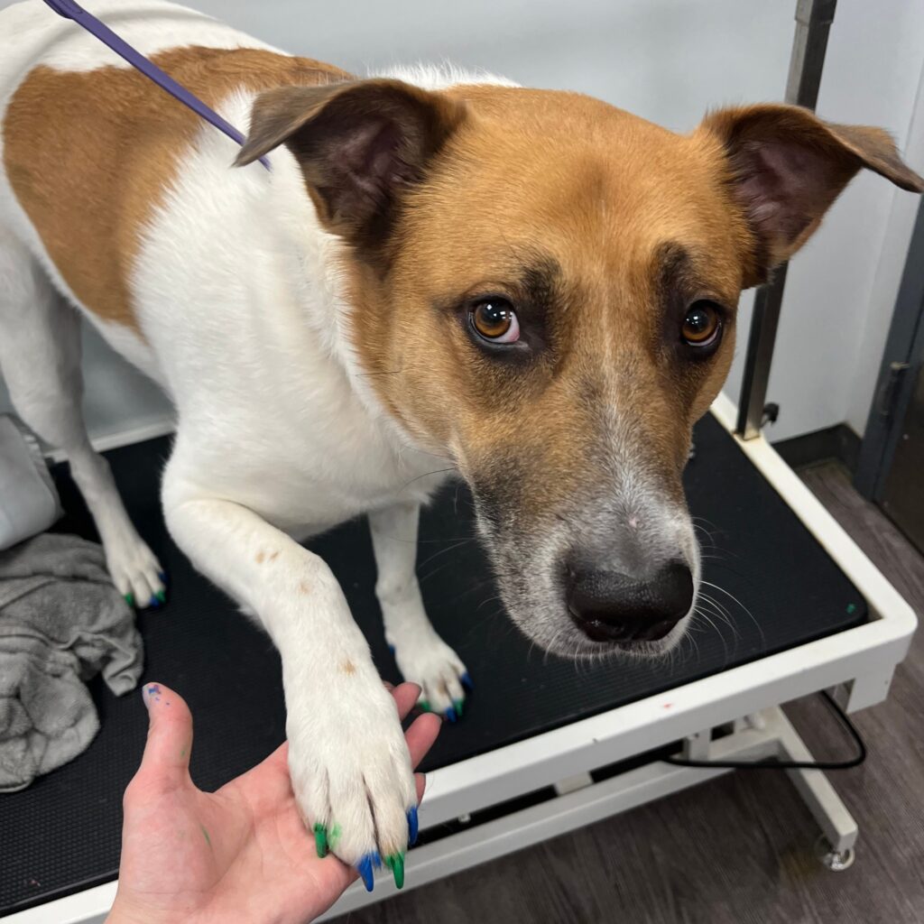 National Mani-Pedi Day - Bloomfield