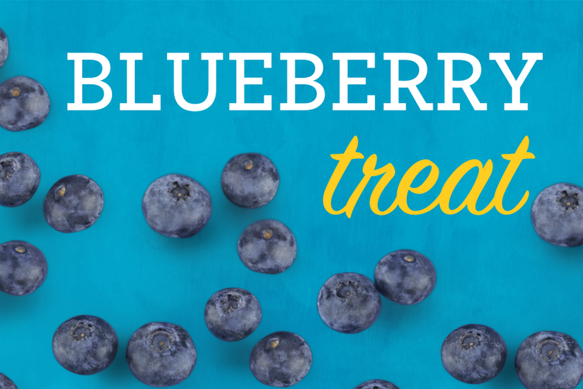 National Blueberry Day - Bloomfield