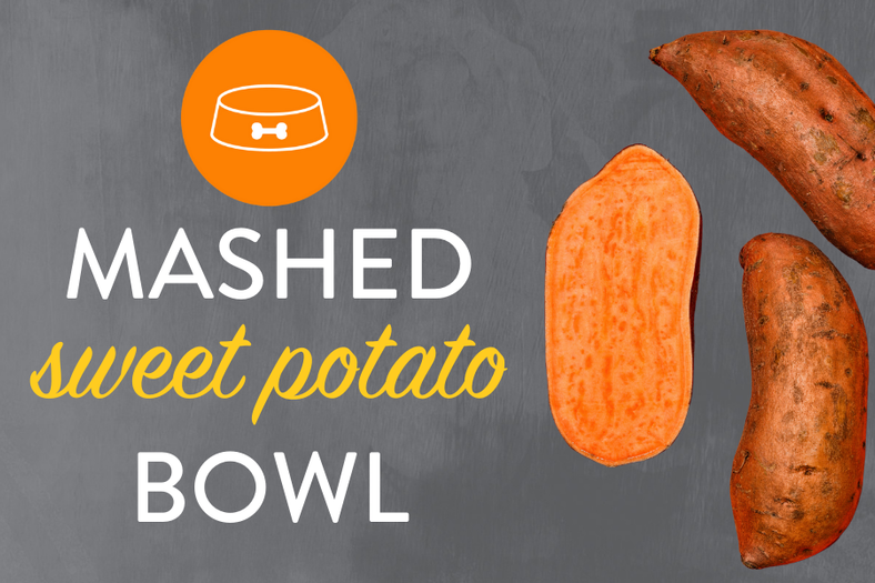 Cafeteria Mashed Potatoes - Bloomfield