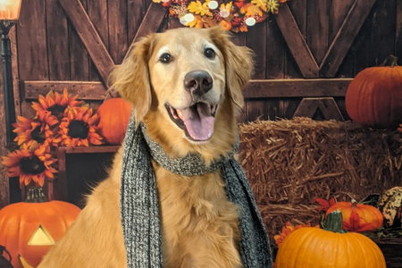 Fall Photoshoot - Bloomfield