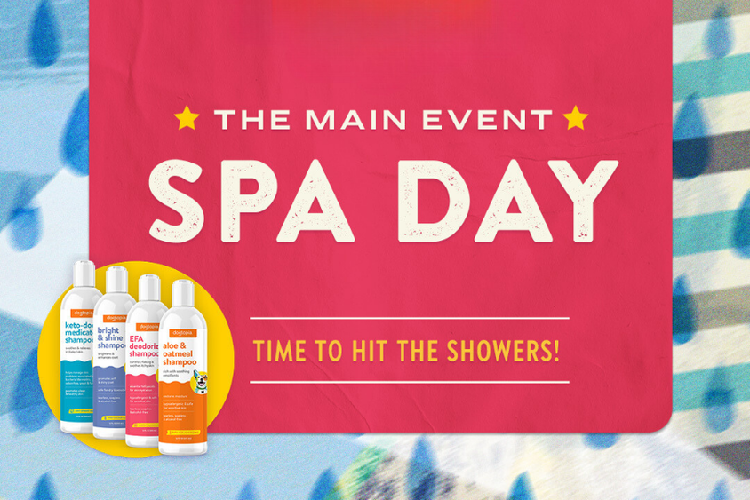 The Dogtopia Games: Spa Day - Birmingham