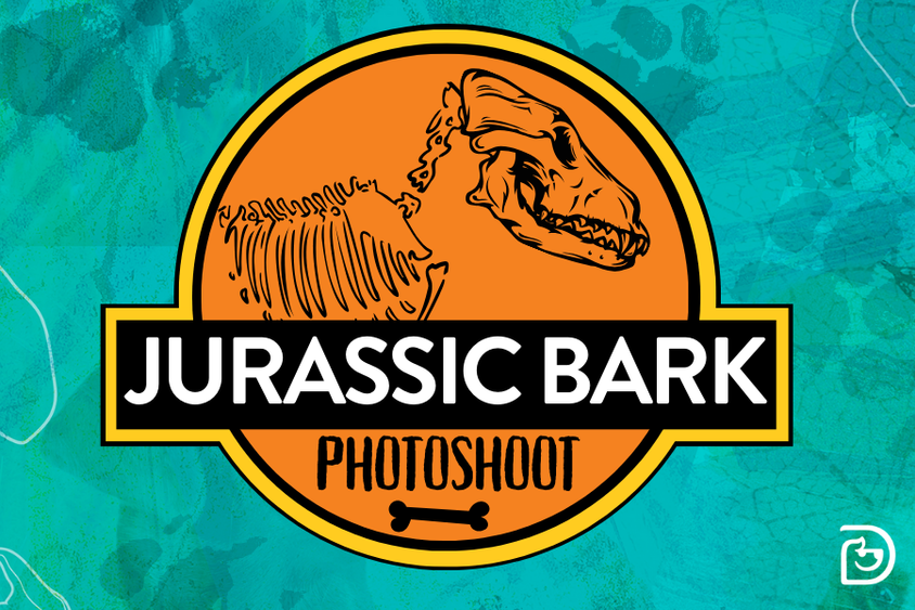Jurassic Bark Photoshoot - Birmingham