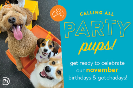 November Birthday Party - Birmingham