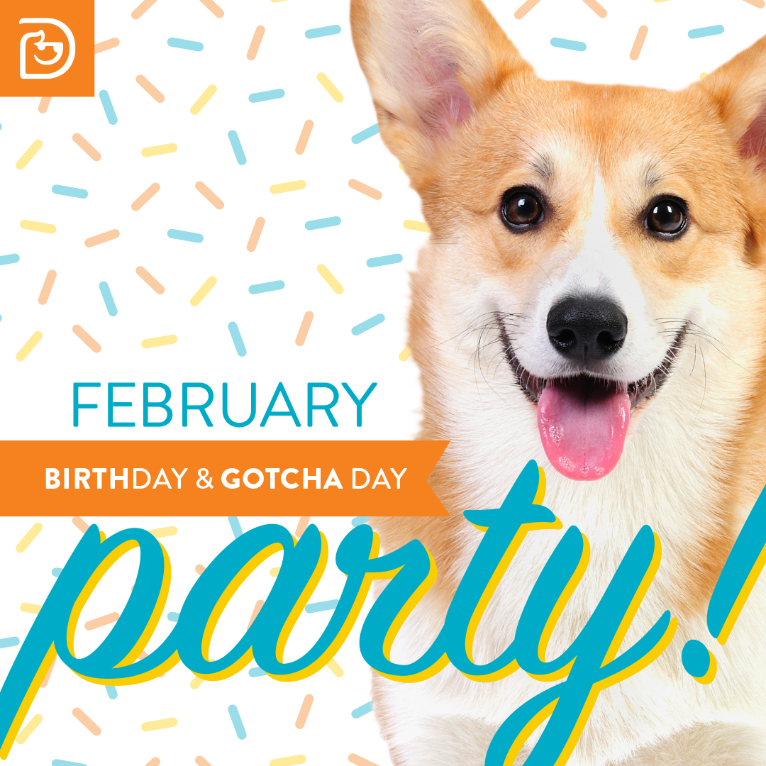 Birthdays and Gotcha Days - Highland Village