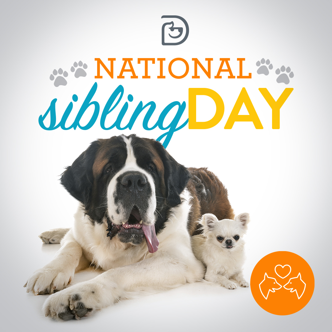 National Sibling Day! - Highland Village