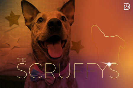 The Scruffy's! - Highland Village