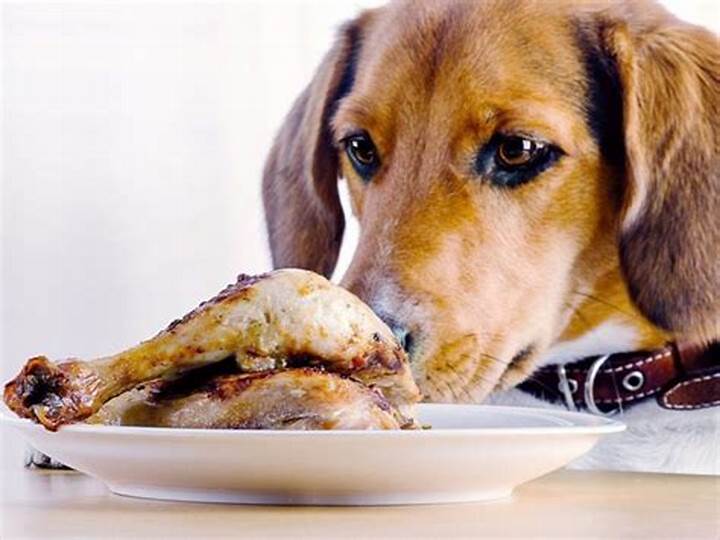 National Poultry Day - Highland Village