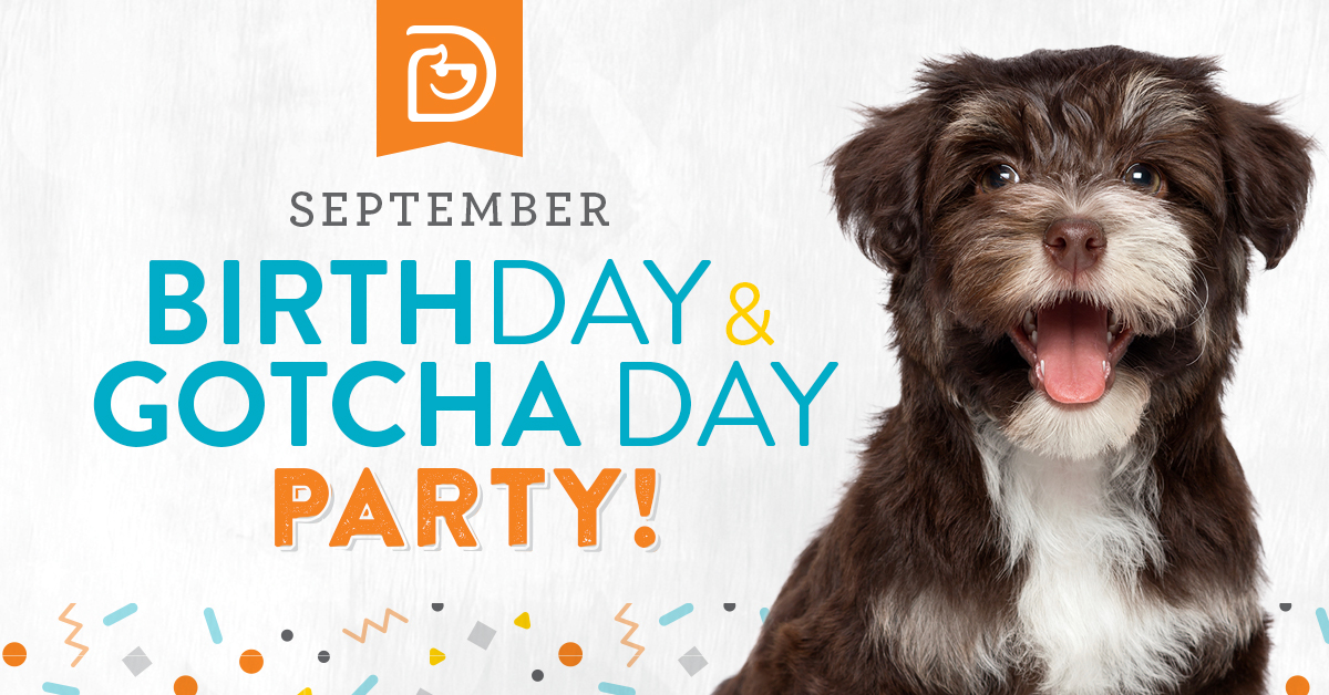 September Birthday Party and Gotcha Day Celebration - Elsmere