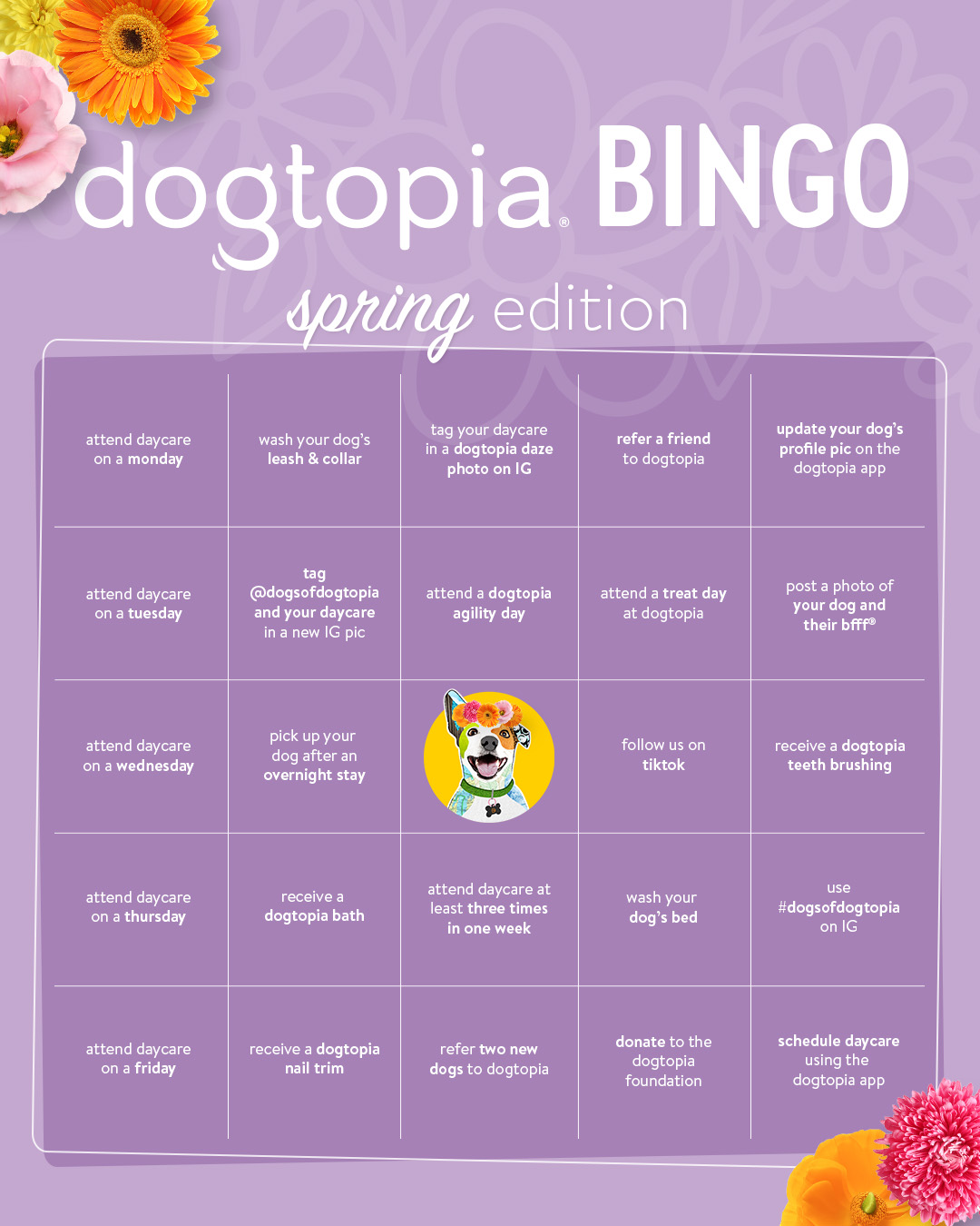 Spring Bingo - Elsmere