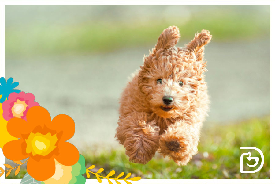 Froyo Treat Party - Scottsdale