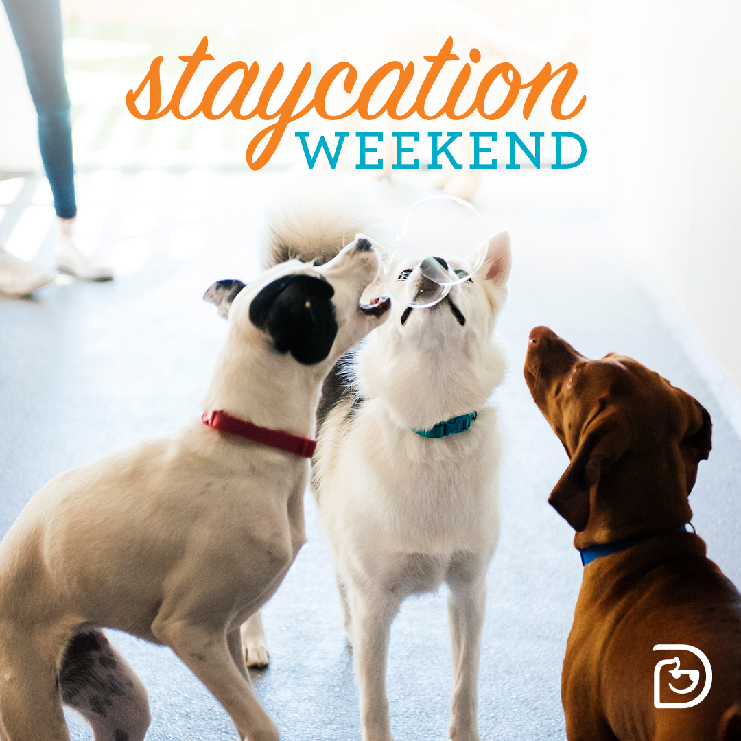 Staycation Weekend - Scottsdale