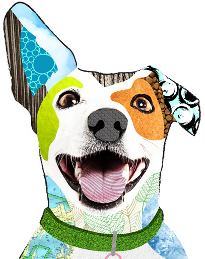 National Sticker Day! - Scottsdale