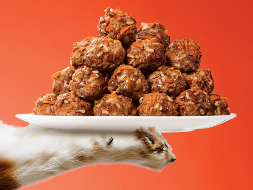MEATBALL MADNESS - Gainesville