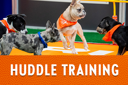 Pre-Game Huddle Party - Gainesville