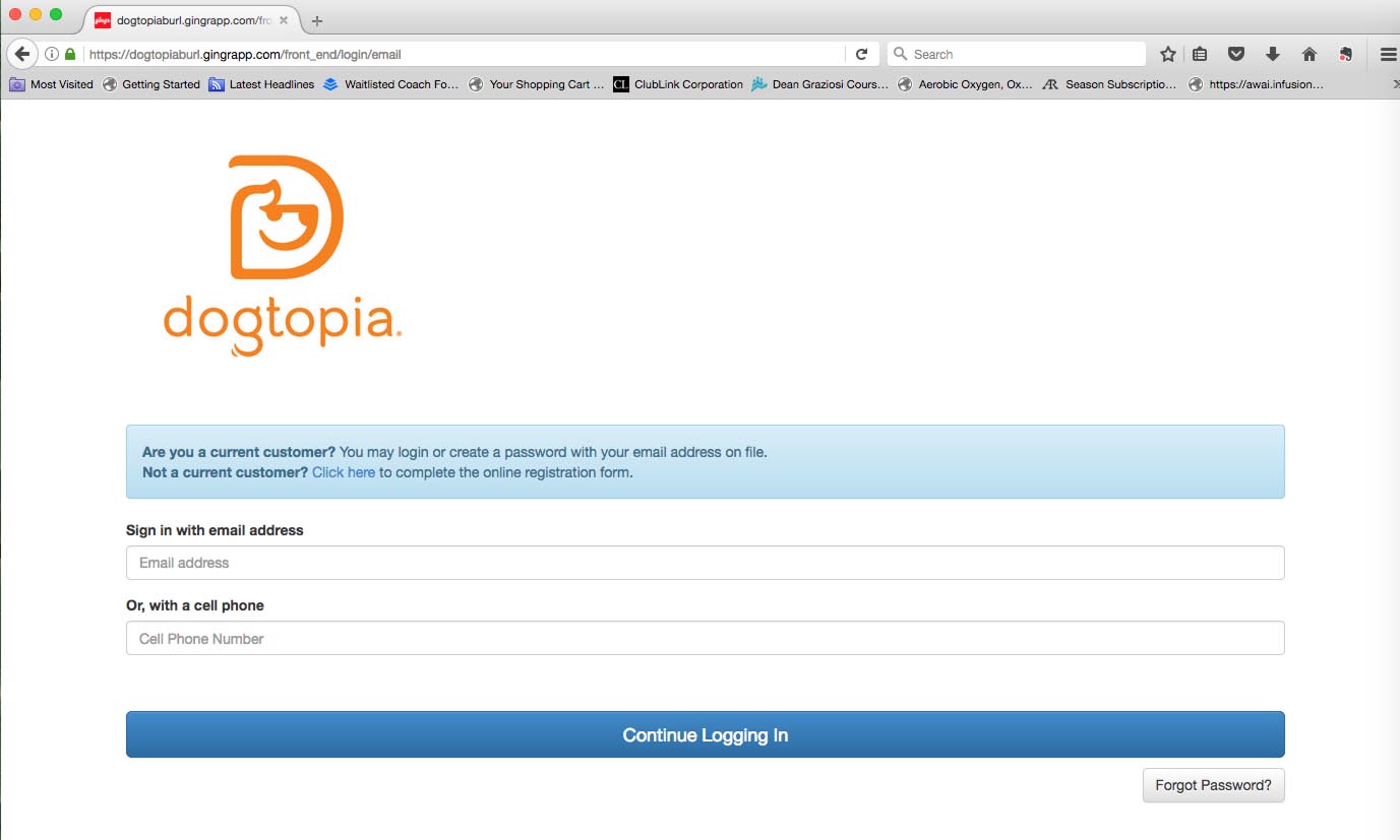 Meet Gingr - Burlington