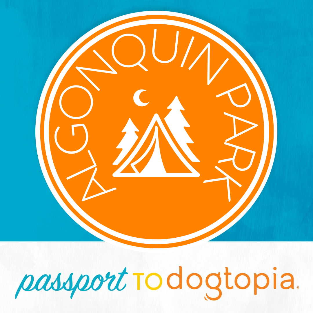 Algonquin Park Logo