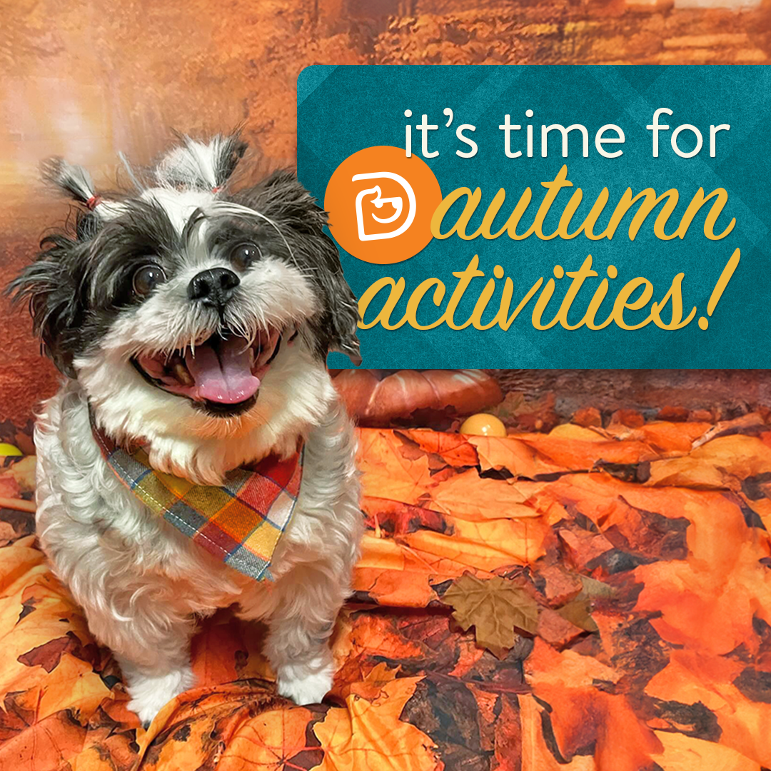 Fall Photoshoot - Burlington