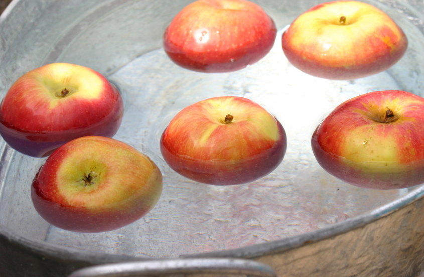 Bobbing for Apples - Burlington
