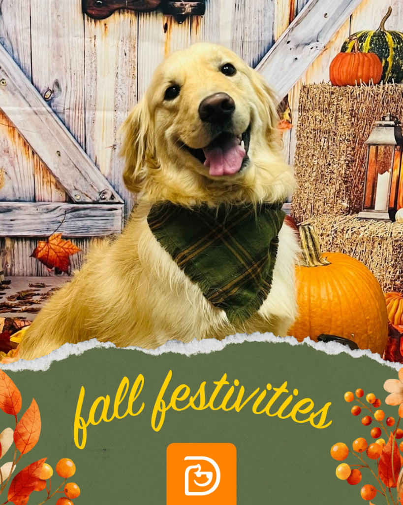 Fall Menu - Burlington