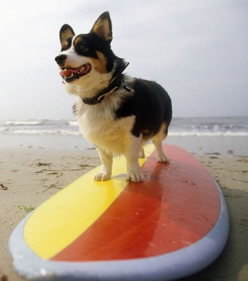 Spring Break Week - Louisville