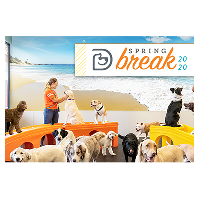 Make your 2020 Spring Break Boarding Reservations - Houston-Galleria