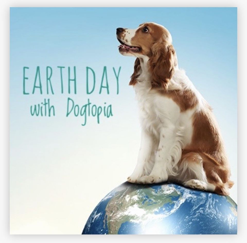 Earth Day With Dogtopia - Houston-Galleria
