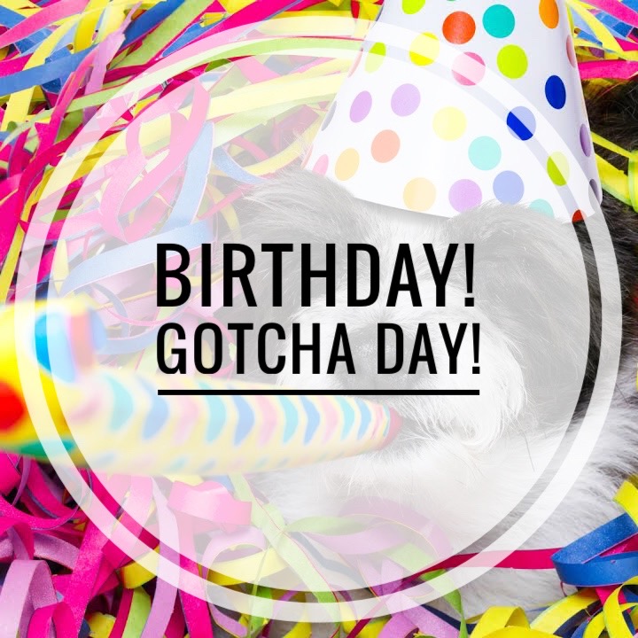 Birthday & Gotcha Party - Houston-Galleria