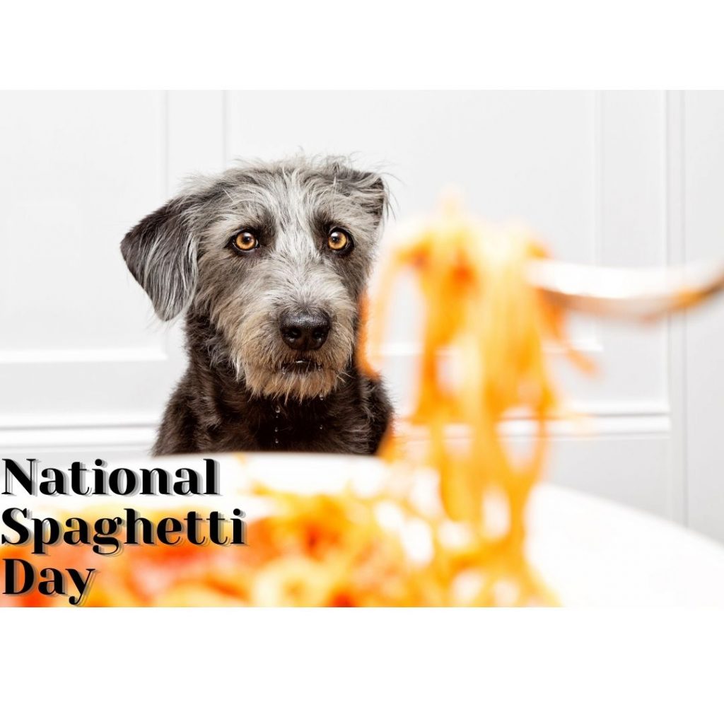 National Spaghetti Day - Houston-Galleria
