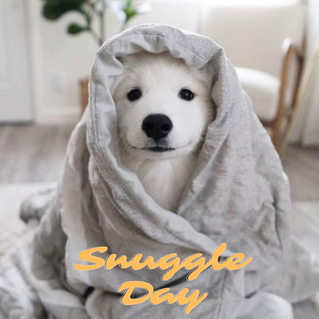 Snuggle Day - Houston-Galleria