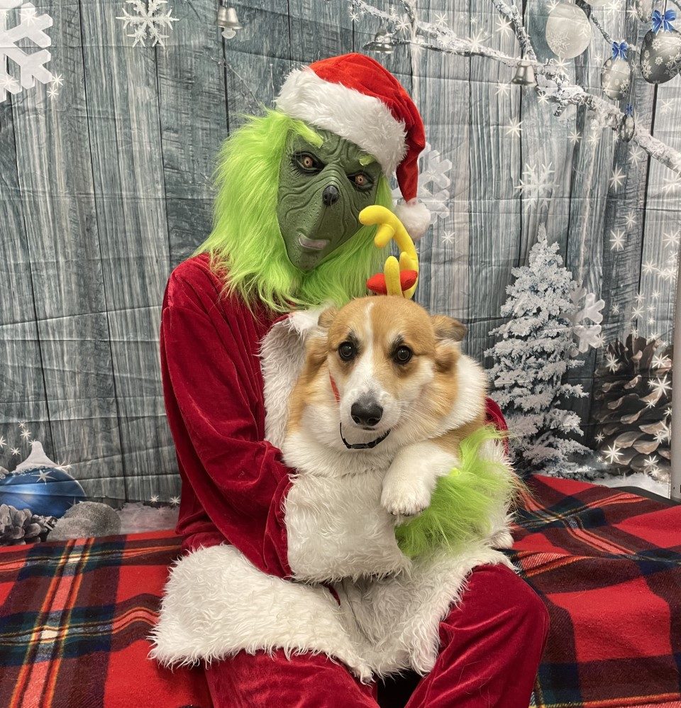 Grinch Christmas Photoshoot - San Jose