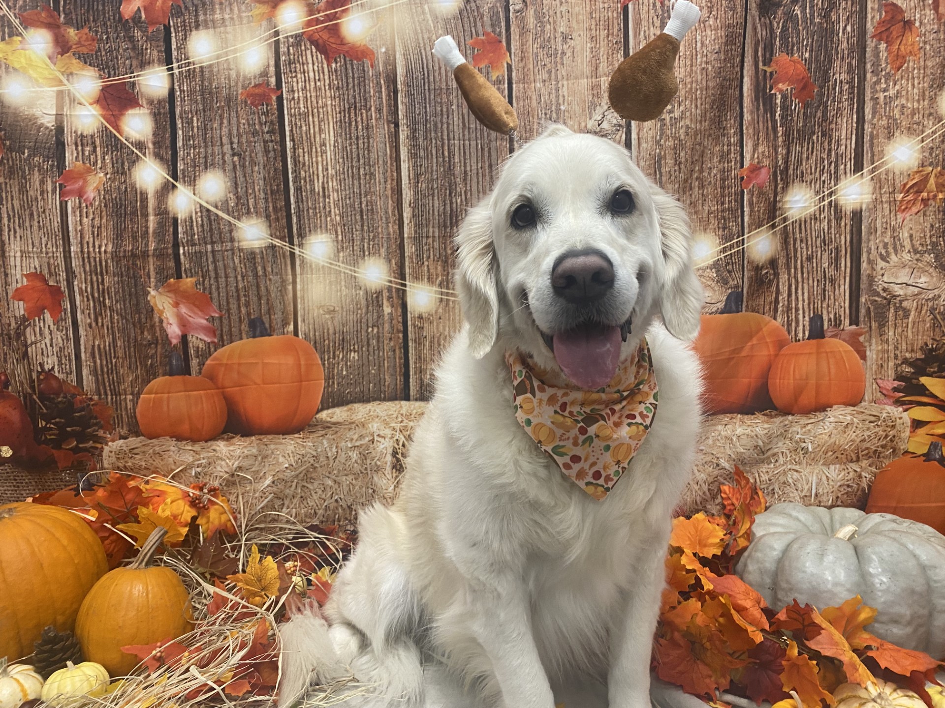 Fall Photoshoot - San Jose