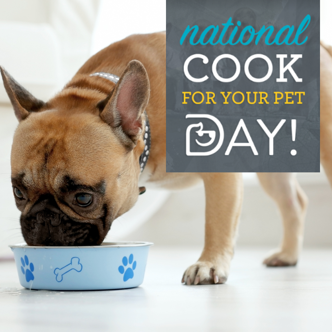 Cook For Your Pet - Brampton