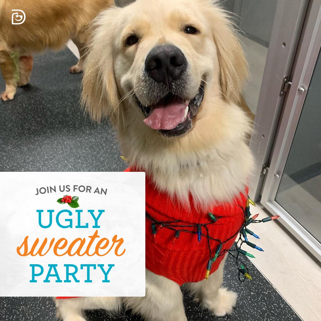 Ugly Sweater Day - Brampton