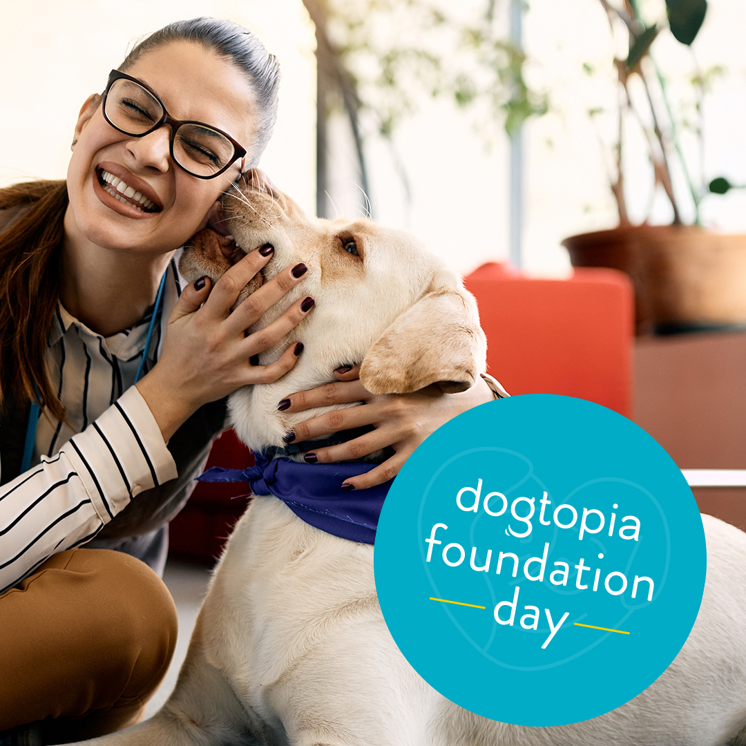 Dogtopia Foundation Day! - Brampton