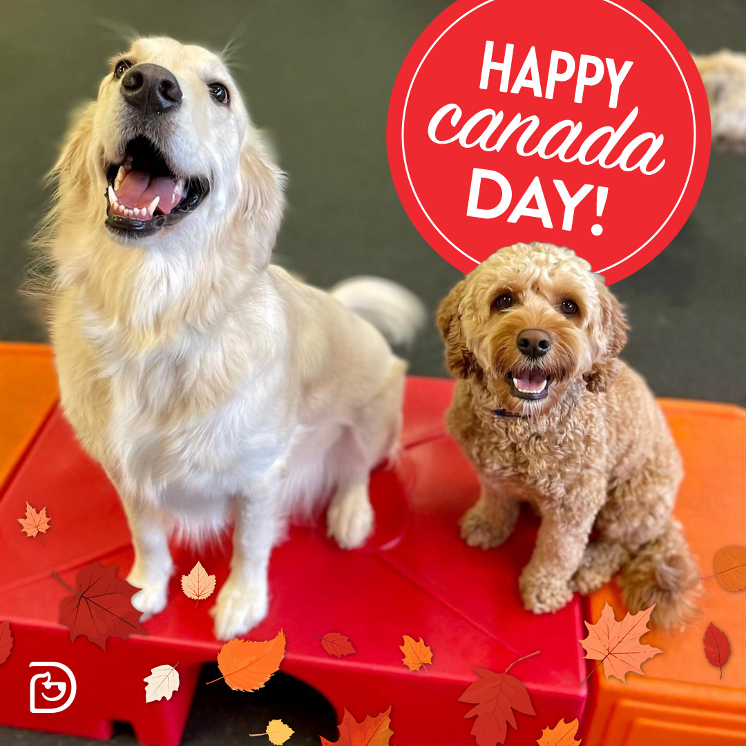 Canada Day - Closed - Brampton