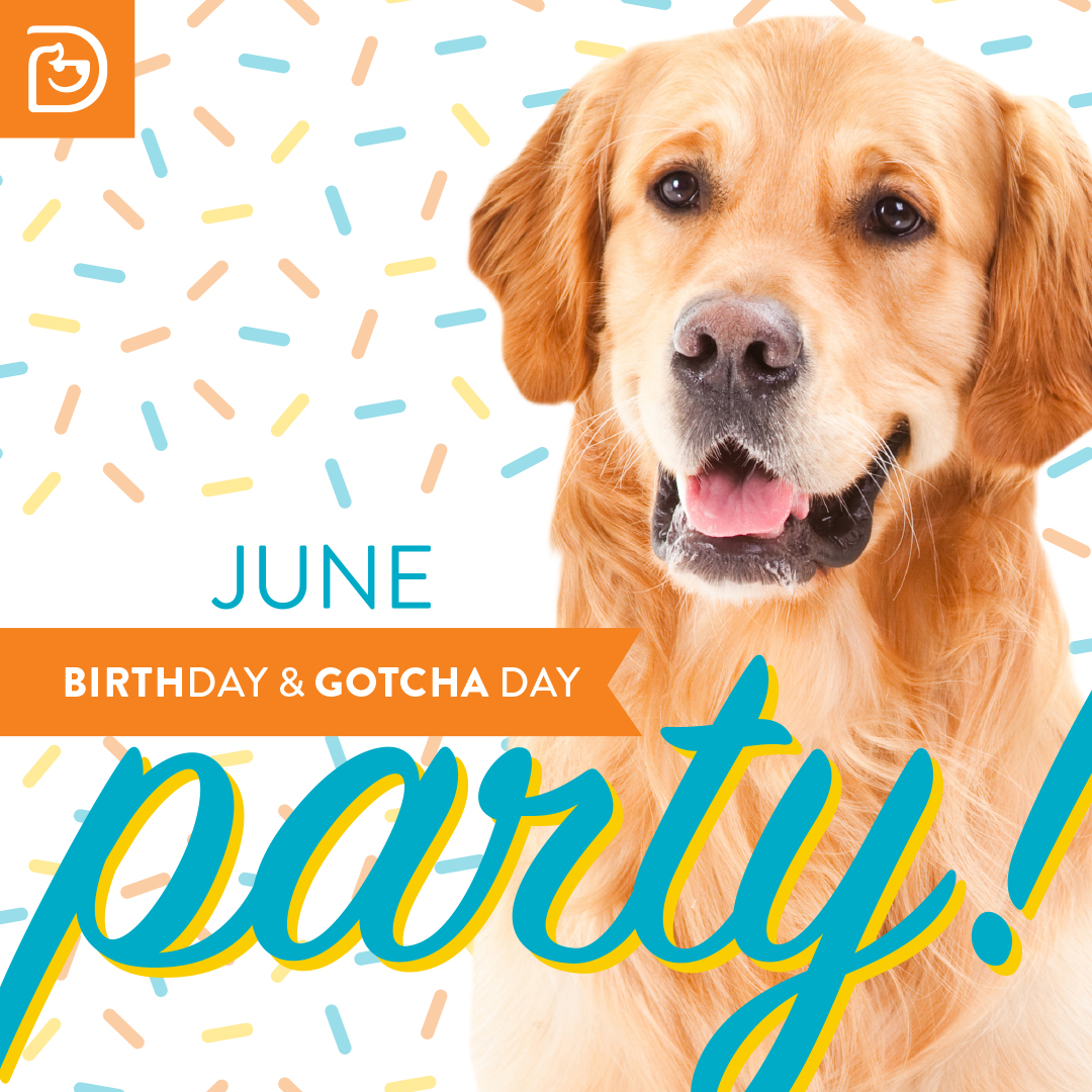 JUNE BIRTHDAY PARTY! - La Grange