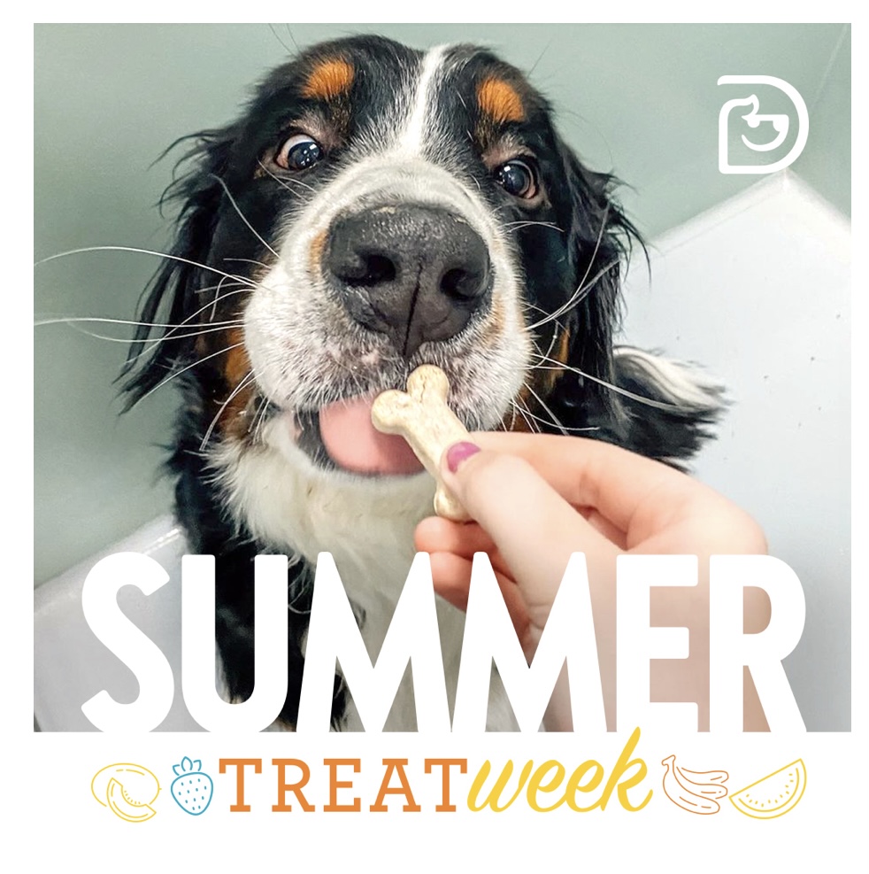 Summer Frozen Treat Week July 19 - 23 - La Grange
