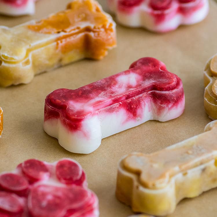 $5 Foundation Treat Day - Frozen Yogurt - Oro Valley