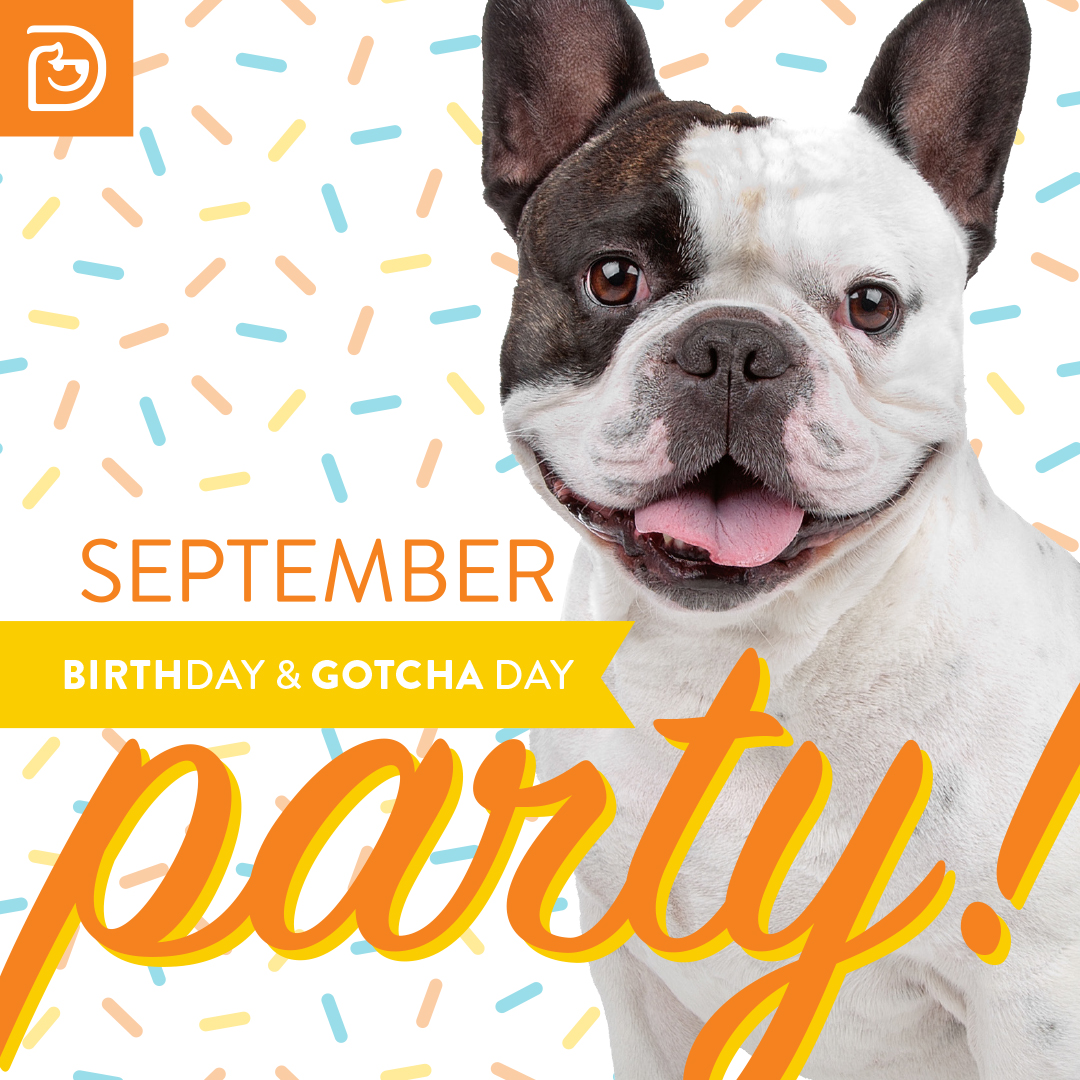 September Birthday and Gotcha Day Party! - Westchase