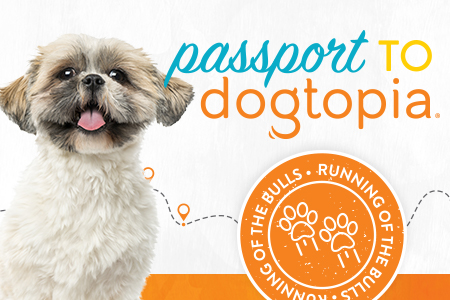 Passport to Dogtopia: Running of the Bulls in Spain - Westchase