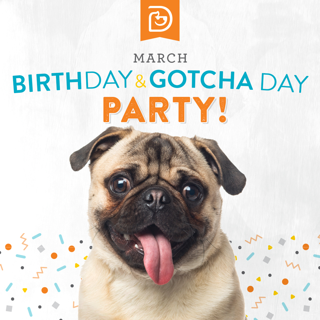 March Birthday Party - Westchase
