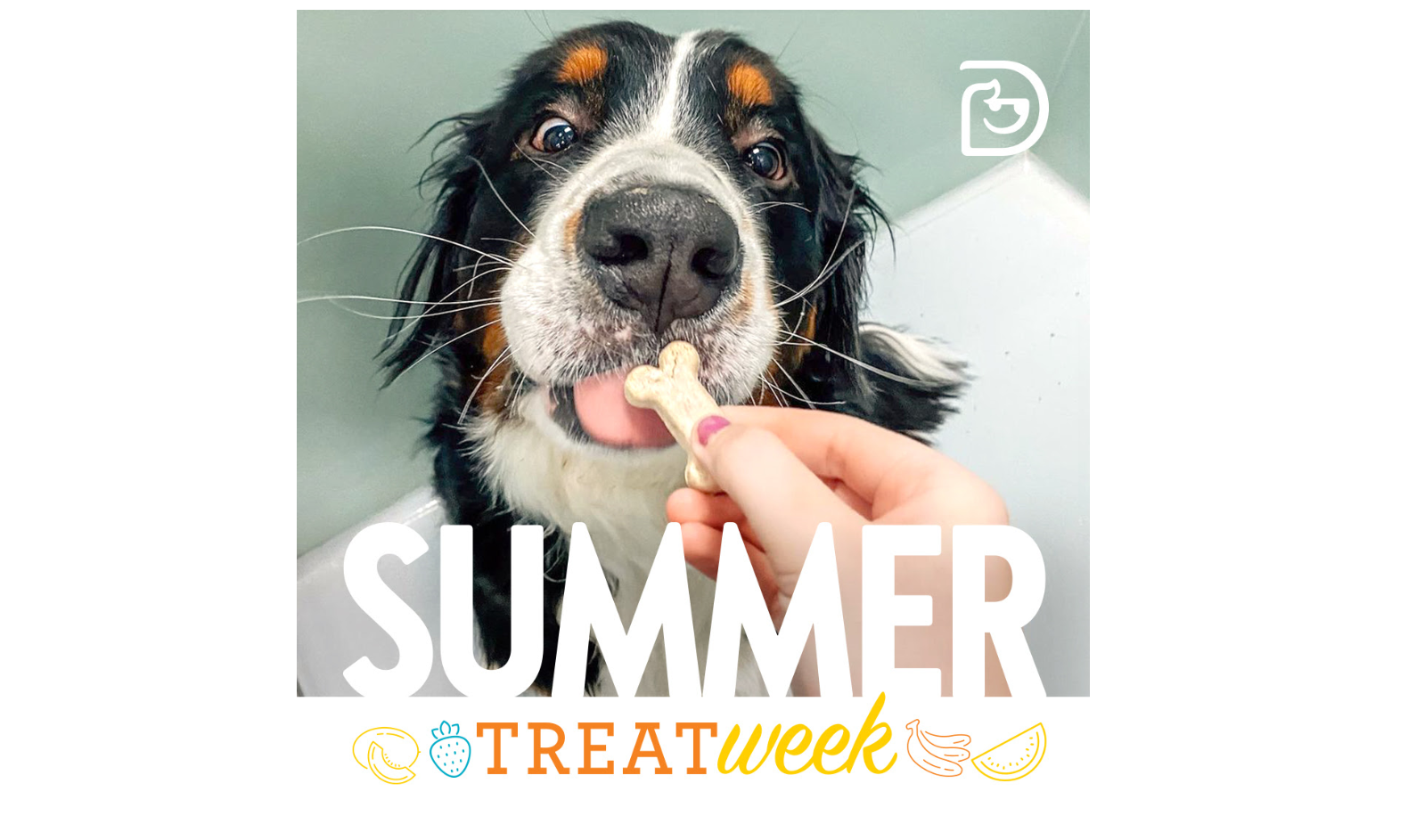 Summer Treat Week - Jacksonville-SouthBank