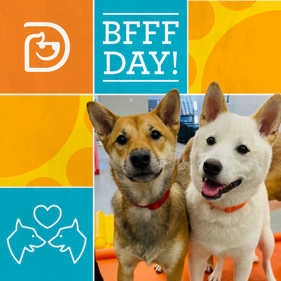 National Best Friend Day - Jacksonville-SouthBank
