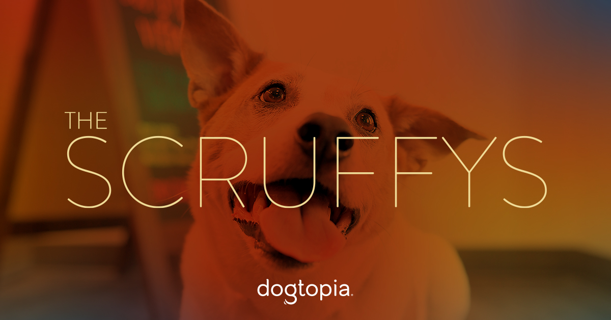 The Scruffys - Albuquerque West