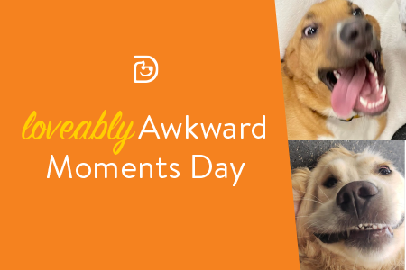National Awkward Moments Day - Northville