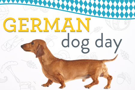 Oktoberfest German Dog Day - Northville