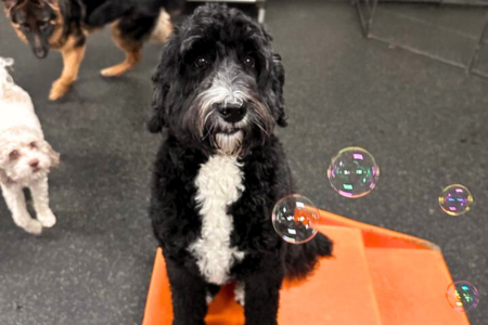 Bubble Blast Off Party - Northville