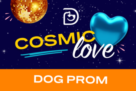 Cosmic Love Prom Photoshoot - Northville