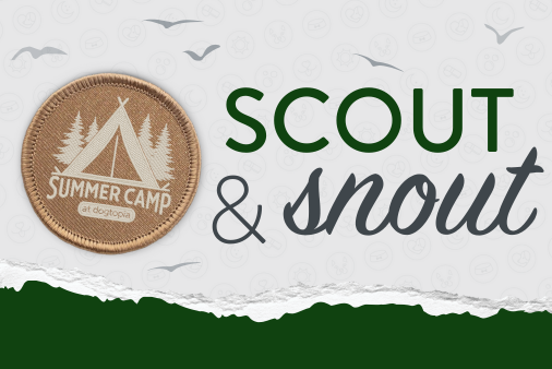 Scout & Snout - Northville