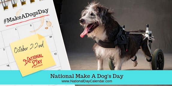 National Make a Dog's Day - Downers Grove